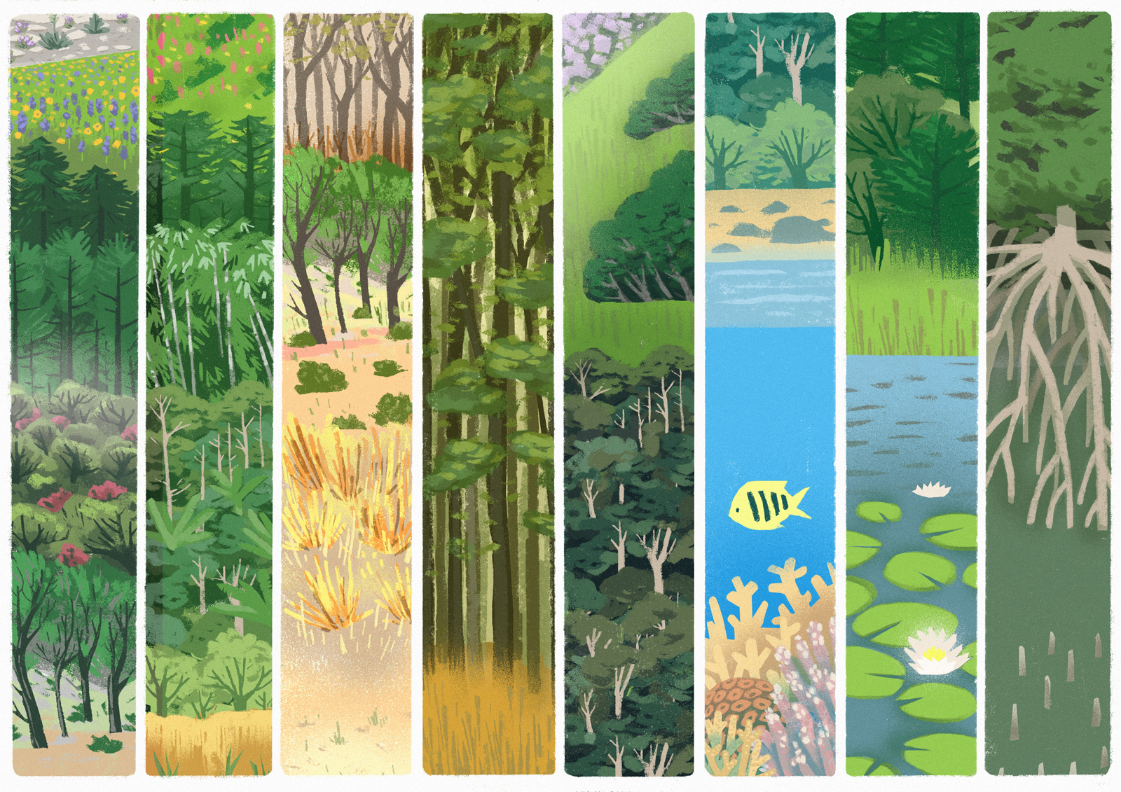 Landscape – Long Term Ecological Observatories (LTEO), India