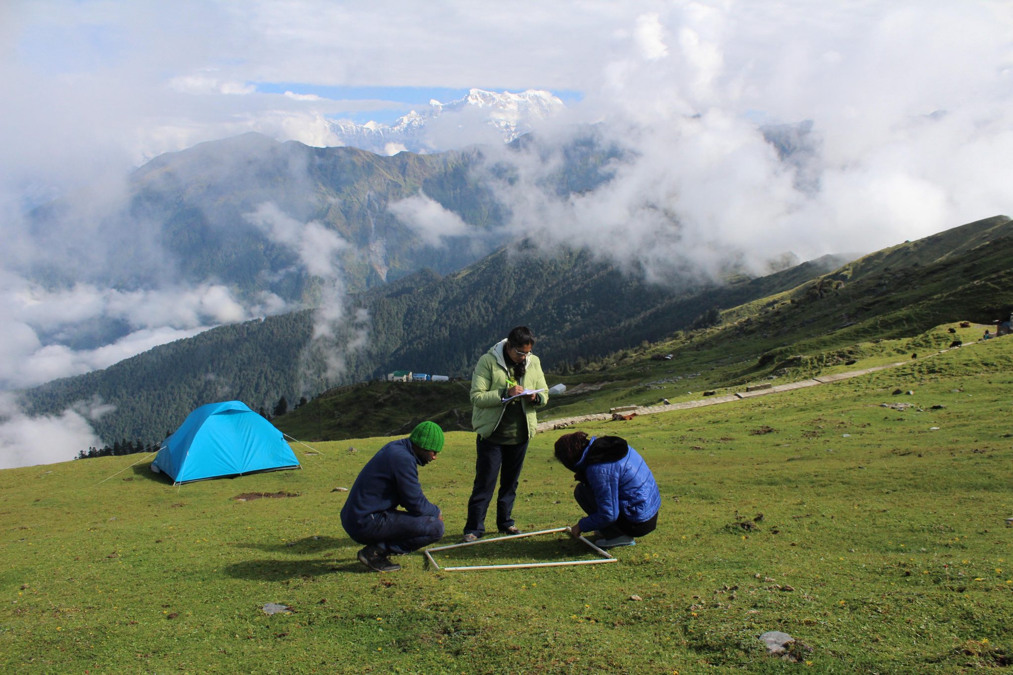 Western Himalaya – Long Term Ecological Observatories (LTEO), India