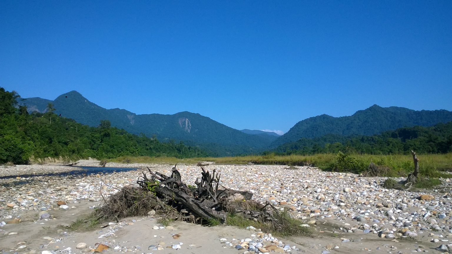 Eastern Himalaya – Long Term Ecological Observatories (LTEO), India